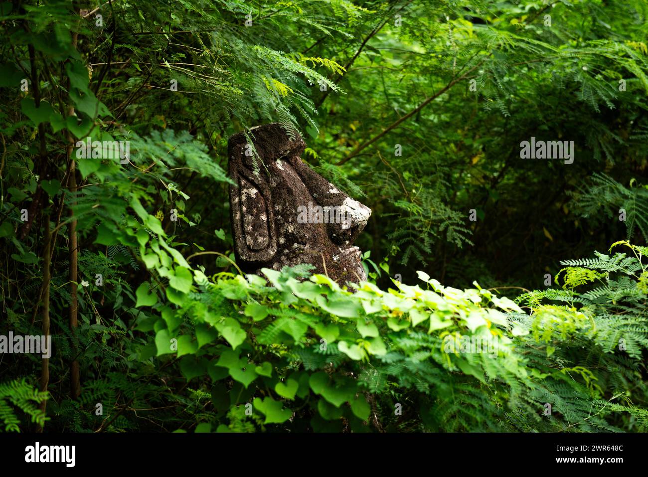 Moai Tiki Carving at Tohua Koueva Archaeological Site, Taiohae, Nuku ...