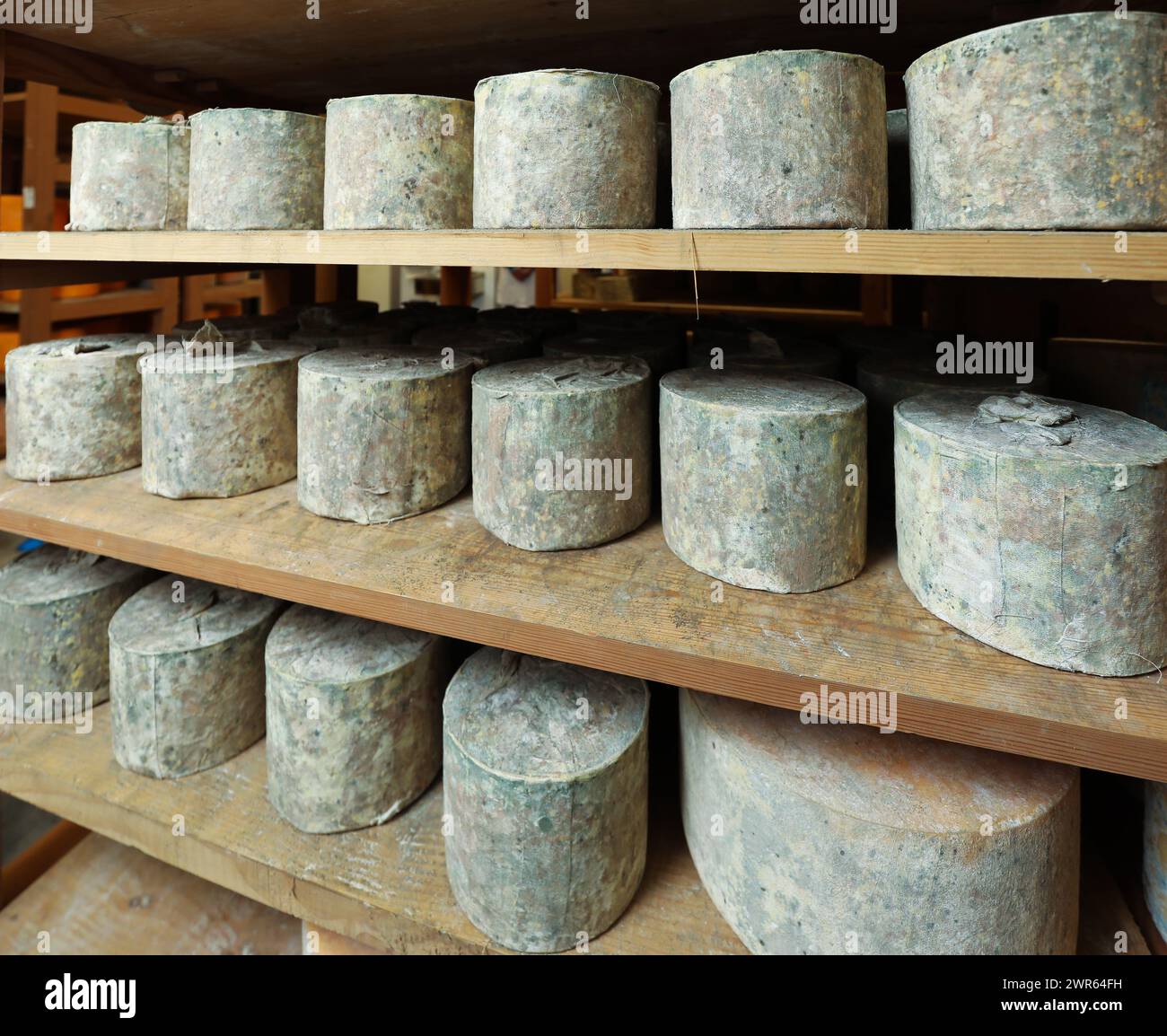 Cheese maturing storage hi-res stock photography and images - Alamy