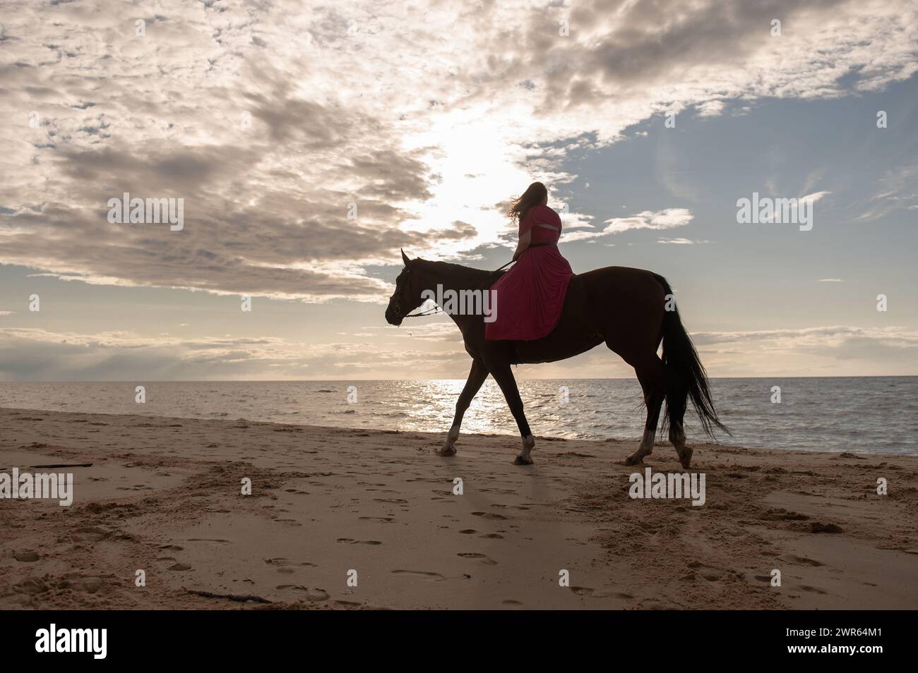 Woman riding horse into sea hi-res stock photography and images - Alamy