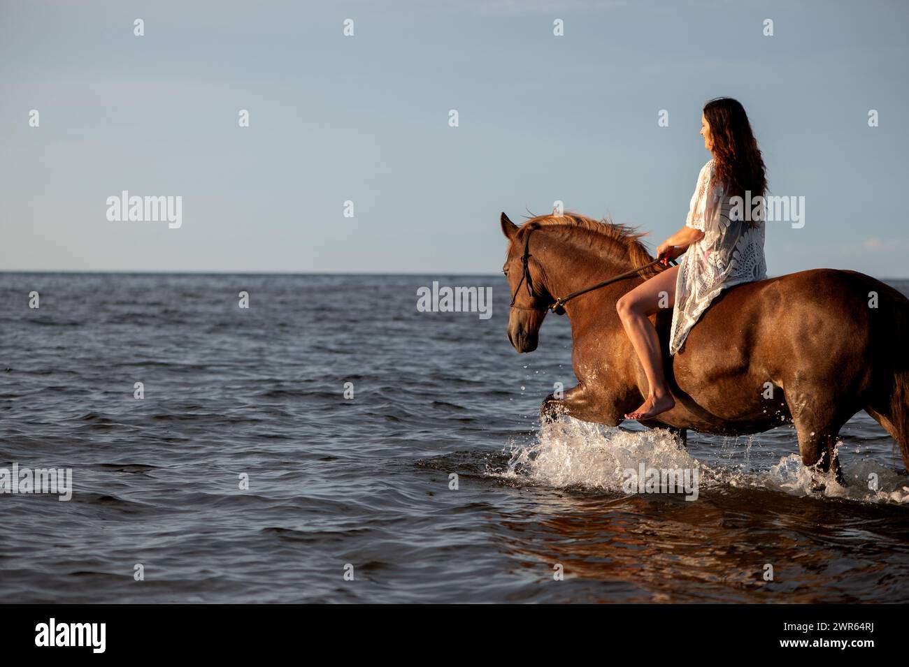 Wet horsewoman hi-res stock photography and images - Alamy