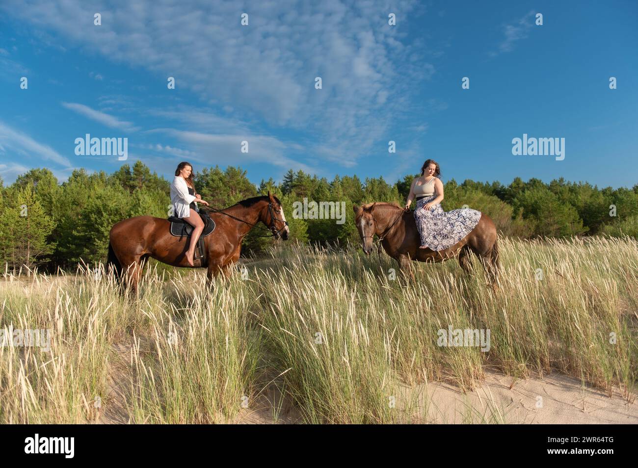 Two women horseback riding on a beach near a forest Stock Photo - Alamy