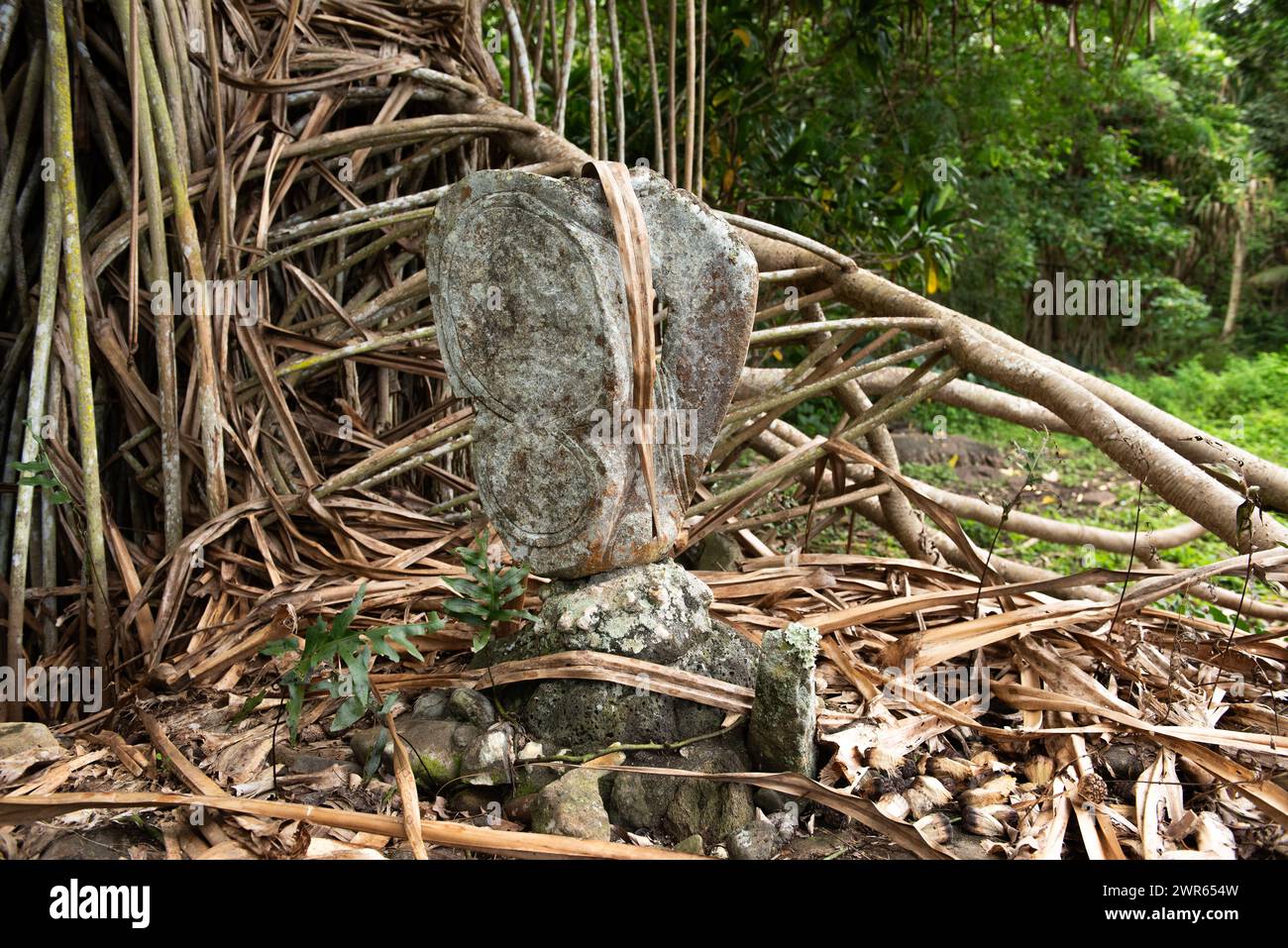 Tohua Koueva Archaeological Site Stock Photo - Alamy