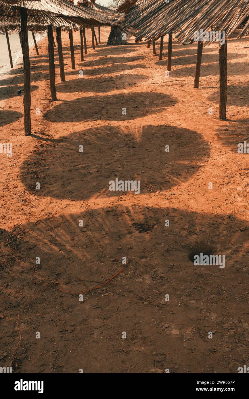 Sun umbrellas made of reed straw casting shadow on beach sand ...