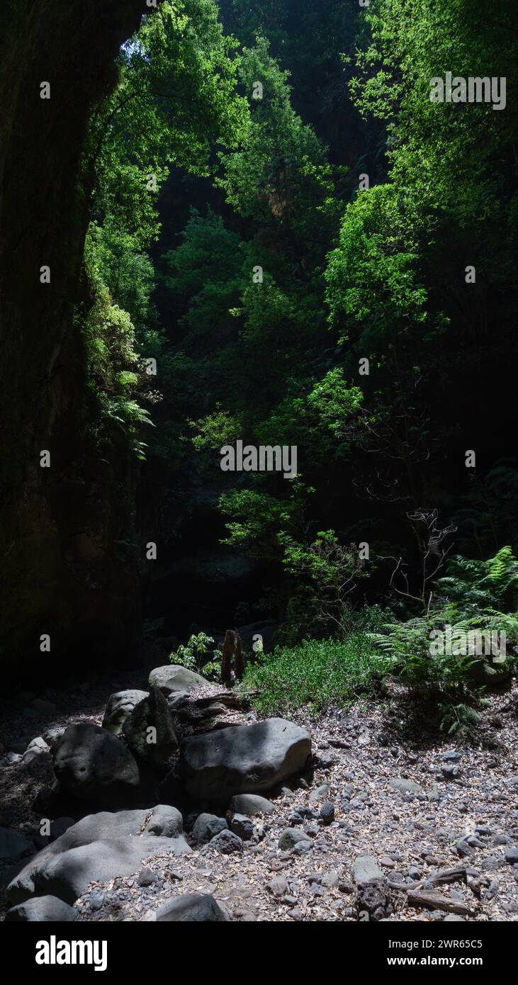 Verdant terrain hi-res stock photography and images - Alamy