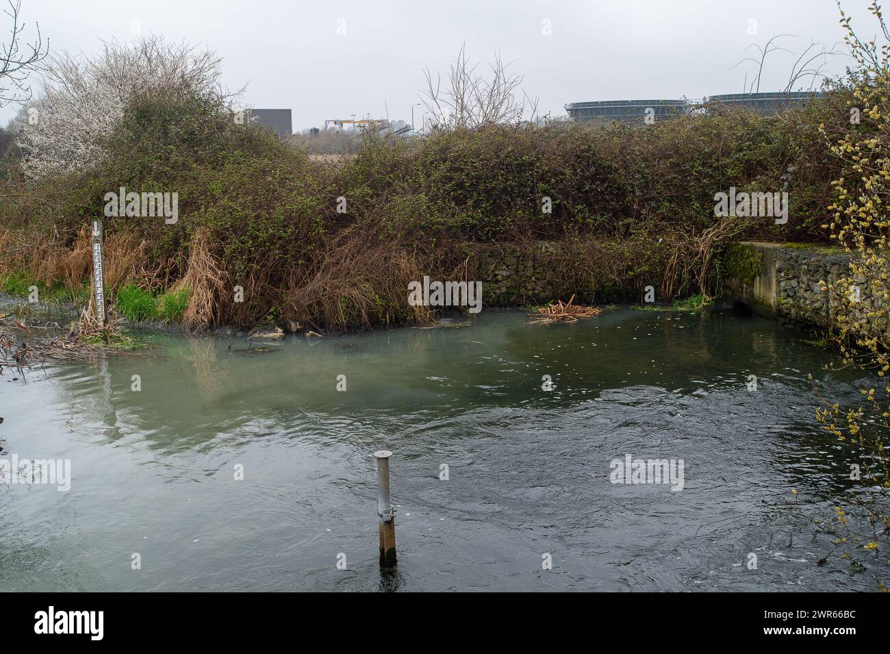 Slough, Berkshire, UK. 11th March, 2024. Thames Water are discharging ...