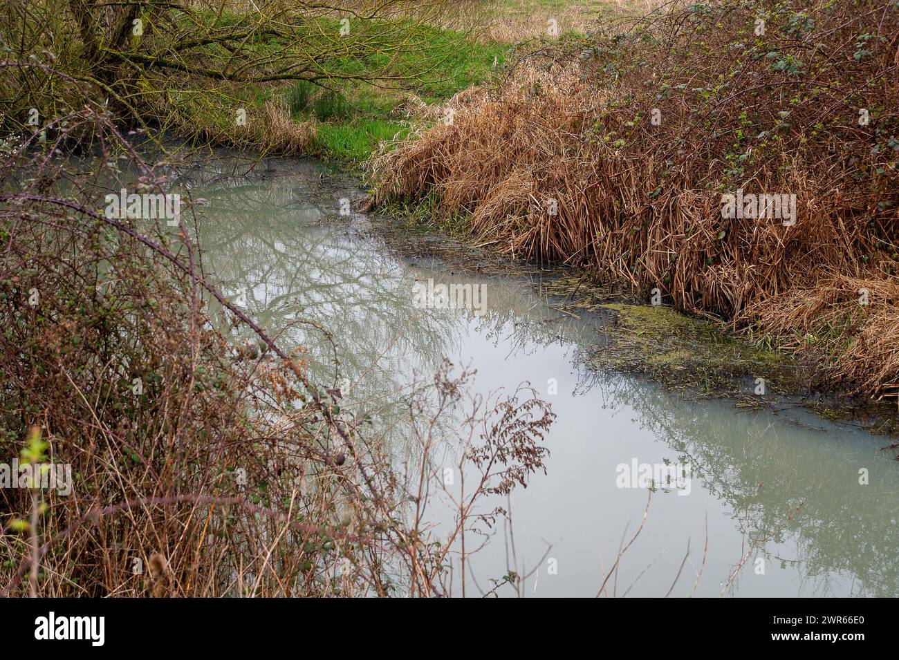 Contamination of waterways hi-res stock photography and images - Alamy