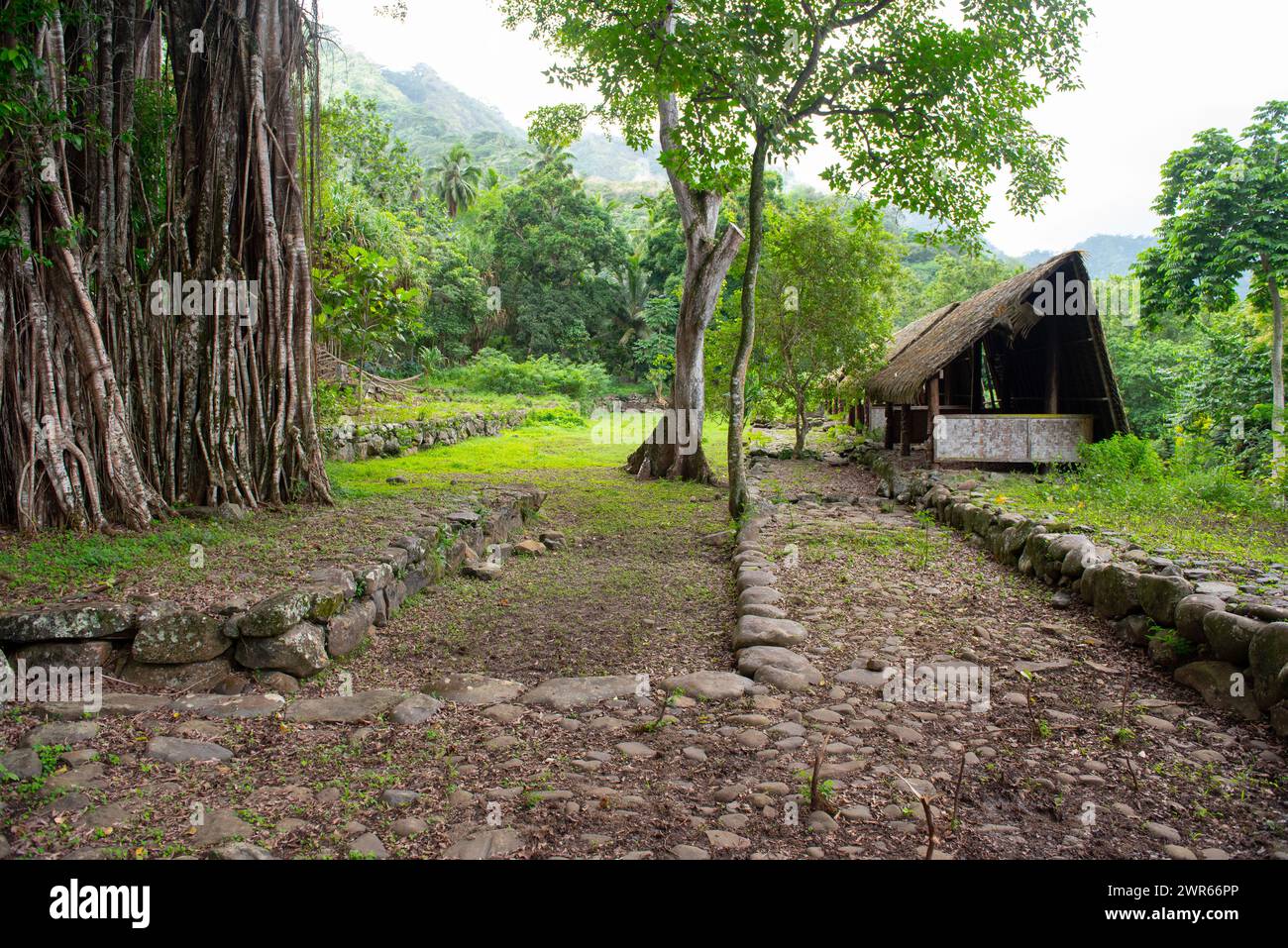 Tohua Koueva Archaeological Site Stock Photo - Alamy