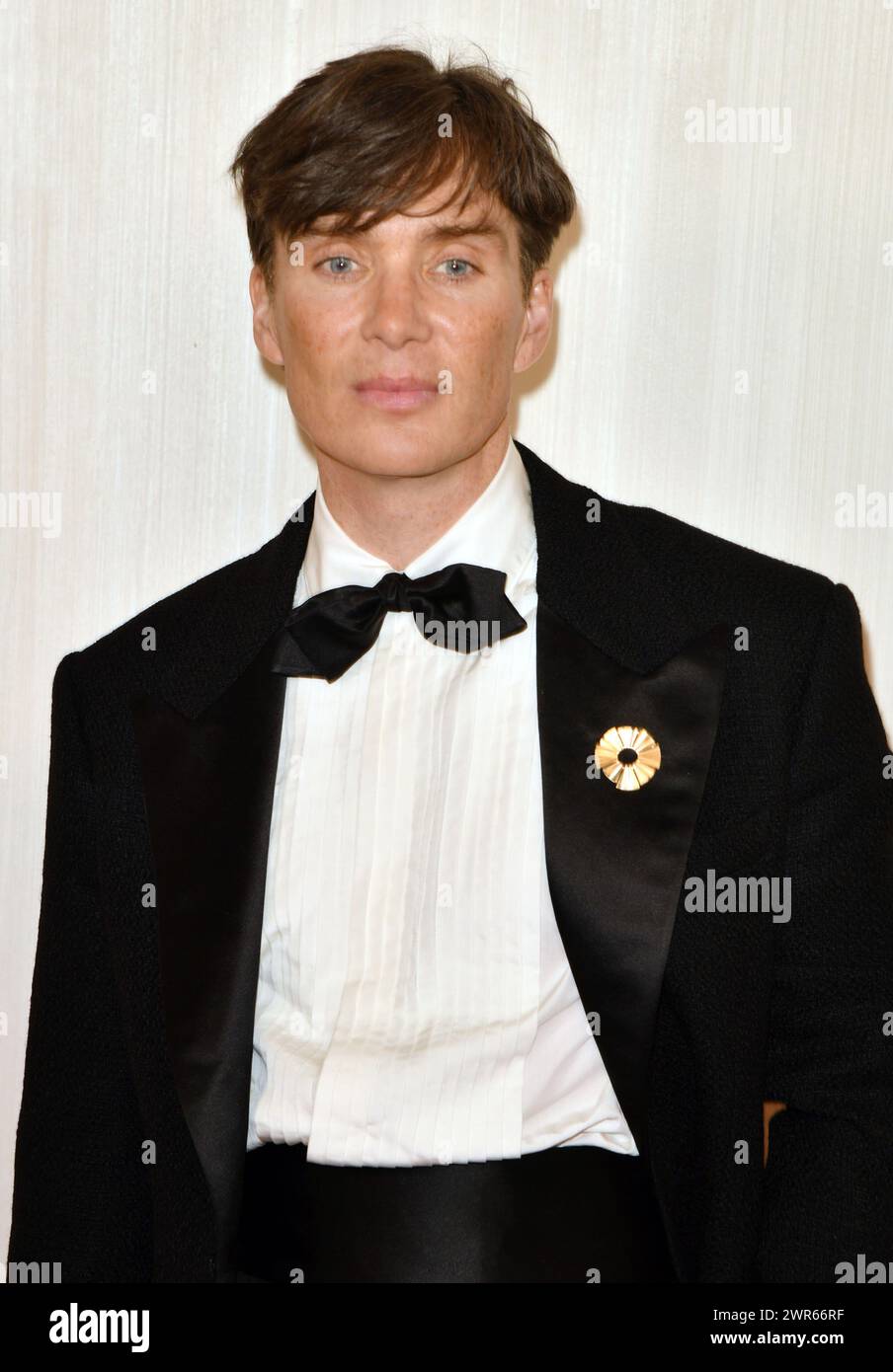 Cillian murphy oscars 2024 hi-res stock photography and images - Alamy