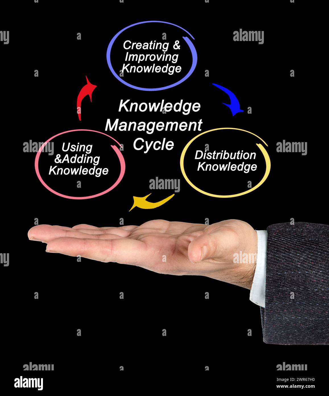 Components of Knowledge Management Cycle Stock Photo - Alamy