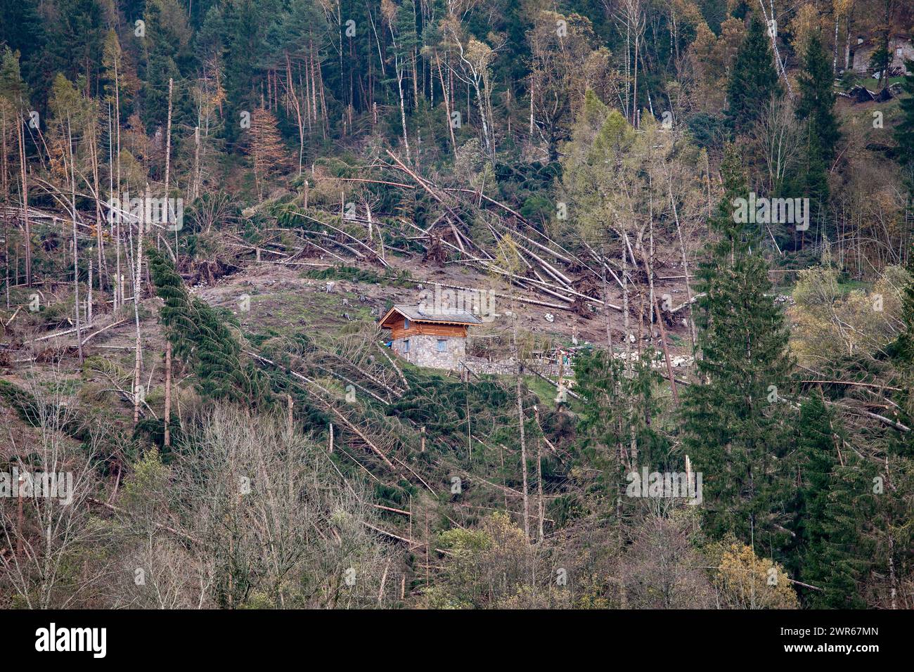 Vaia storm trentino hi-res stock photography and images - Alamy