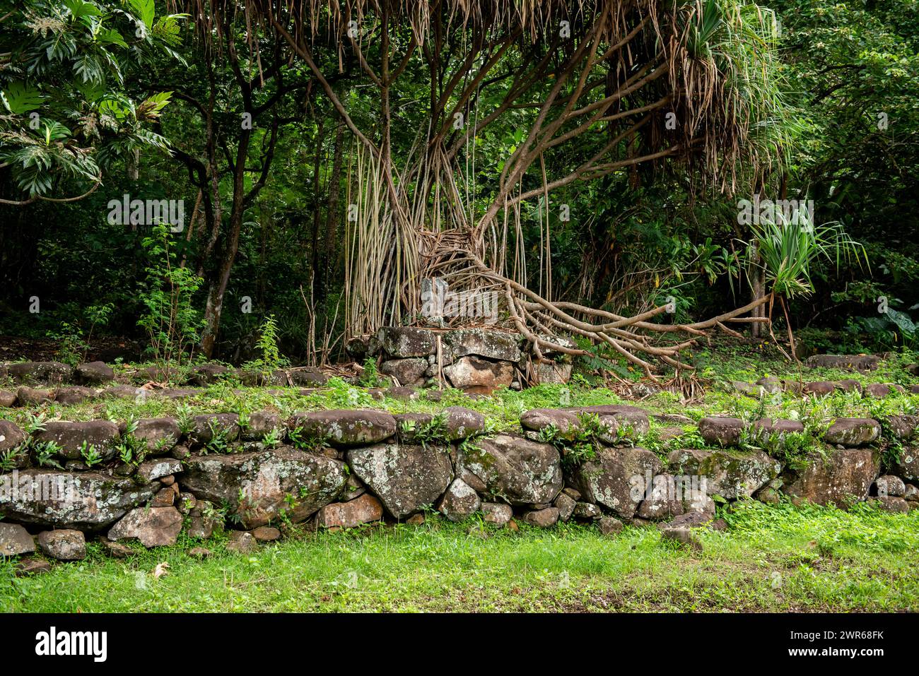 Tohua Koueva Archaeological Site Stock Photo - Alamy