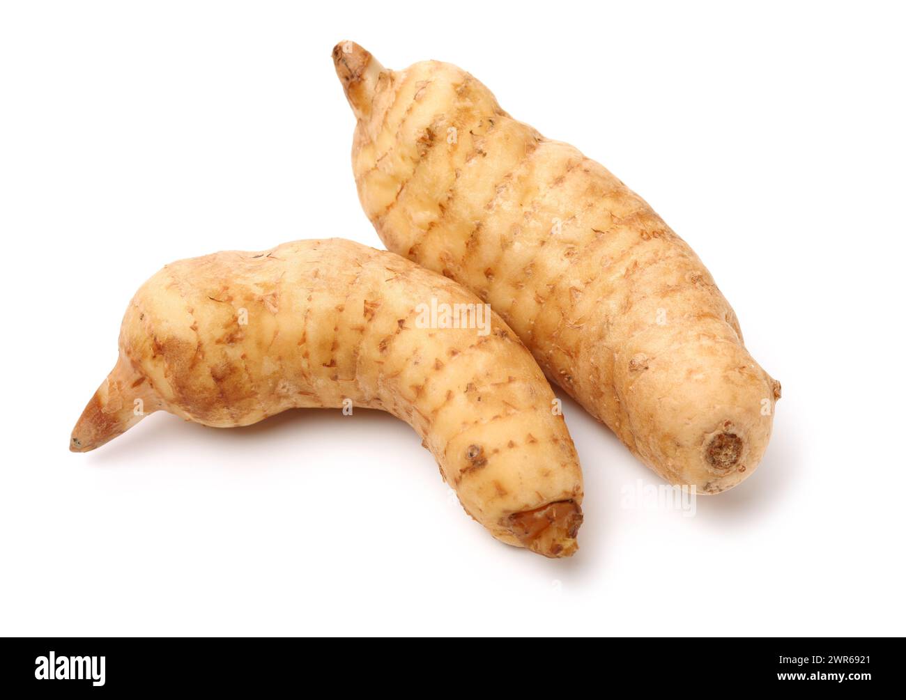 Fresh Gastrodia elata blume on white background Stock Photo - Alamy