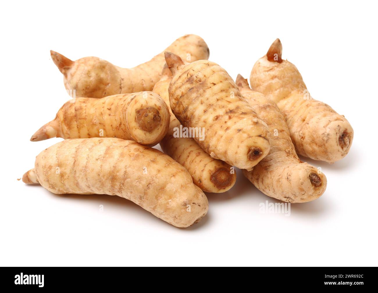 Fresh Gastrodia elata blume on white background Stock Photo - Alamy