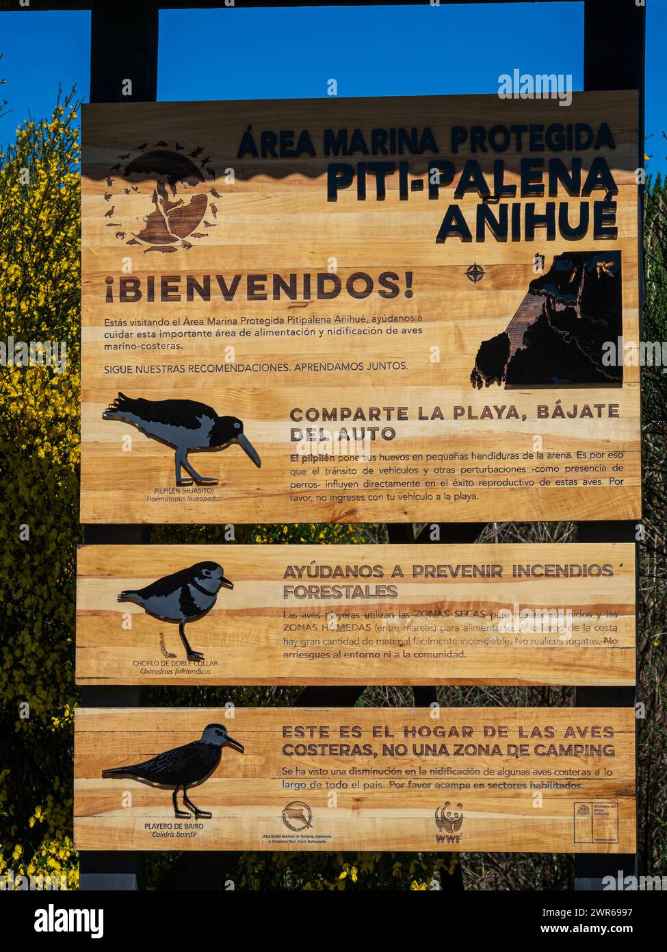 Information sign, nature reserve Piti-Palena Anihue, Raul Marin ...