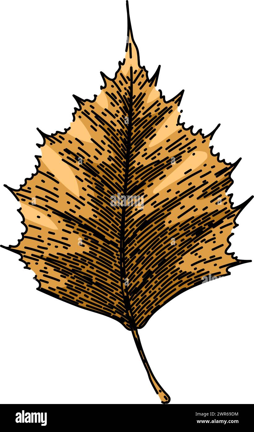 ground autumn leaf sketch hand drawn vector Stock Vector Image & Art ...