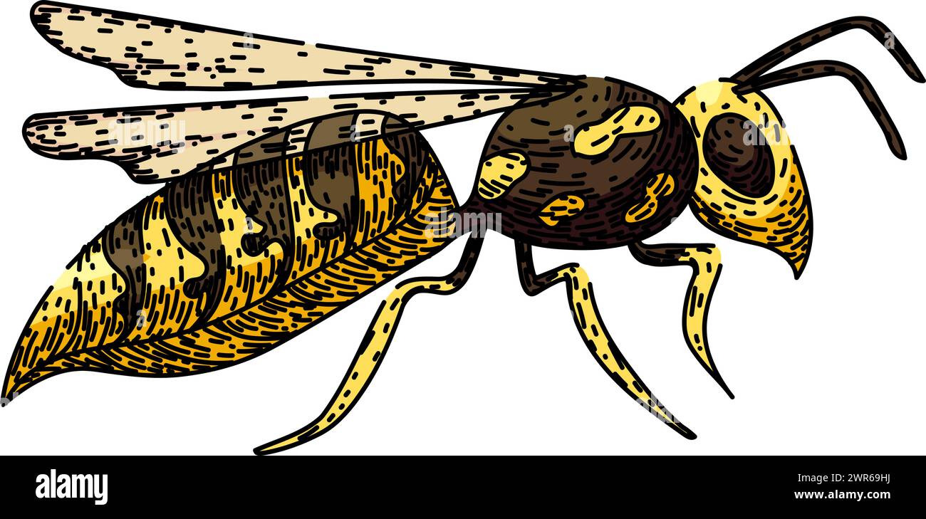 Bumble bee flying flower Stock Vector Images - Alamy