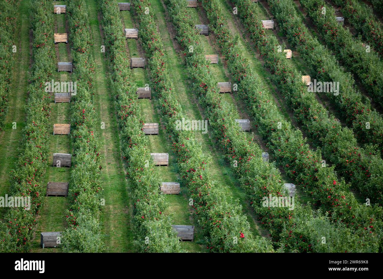 Aerial bins hi-res stock photography and images - Alamy