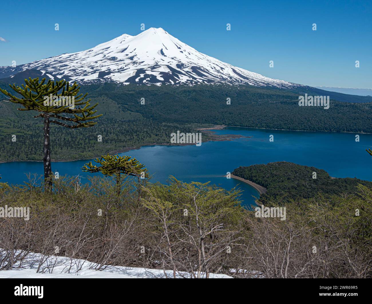 Upper section of Sierra Nevada trail, lake Conguillio, araucaria forest ...