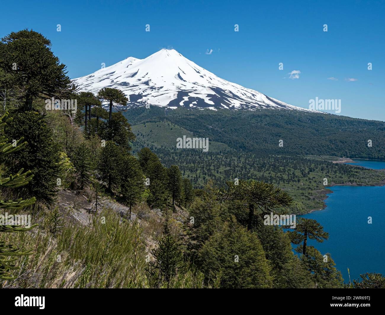 Upper section of Sierra Nevada trail, lake Conguillio, araucaria forest ...