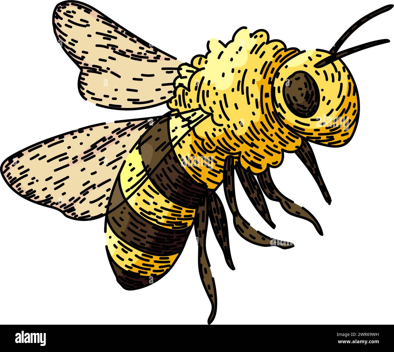 Honey bee flying flower field Stock Vector Images - Alamy