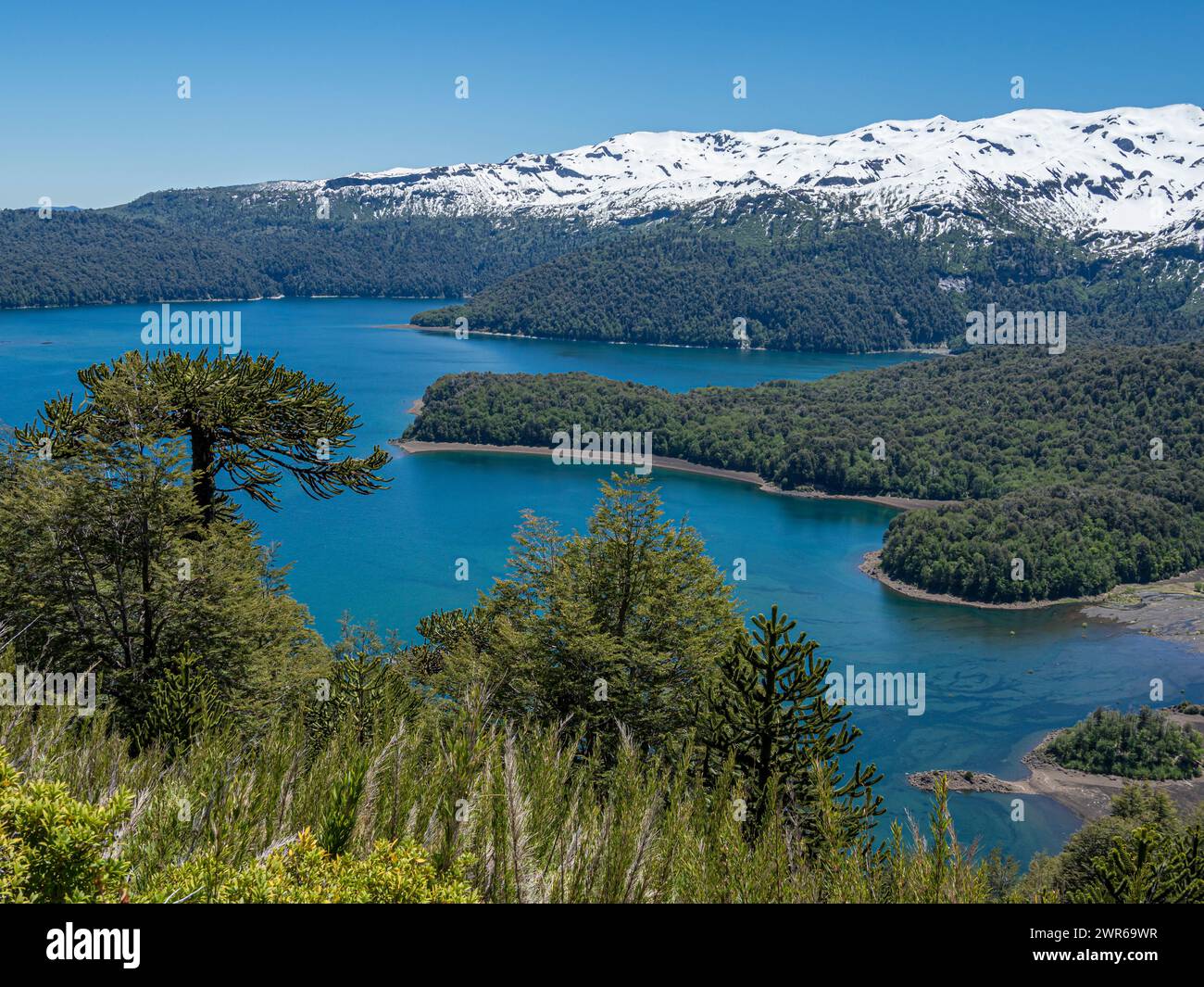 Conguillio National Park Hi res Stock Photography And Images Alamy Conguillio National Park Hi res Stock Photography And Images Alamy