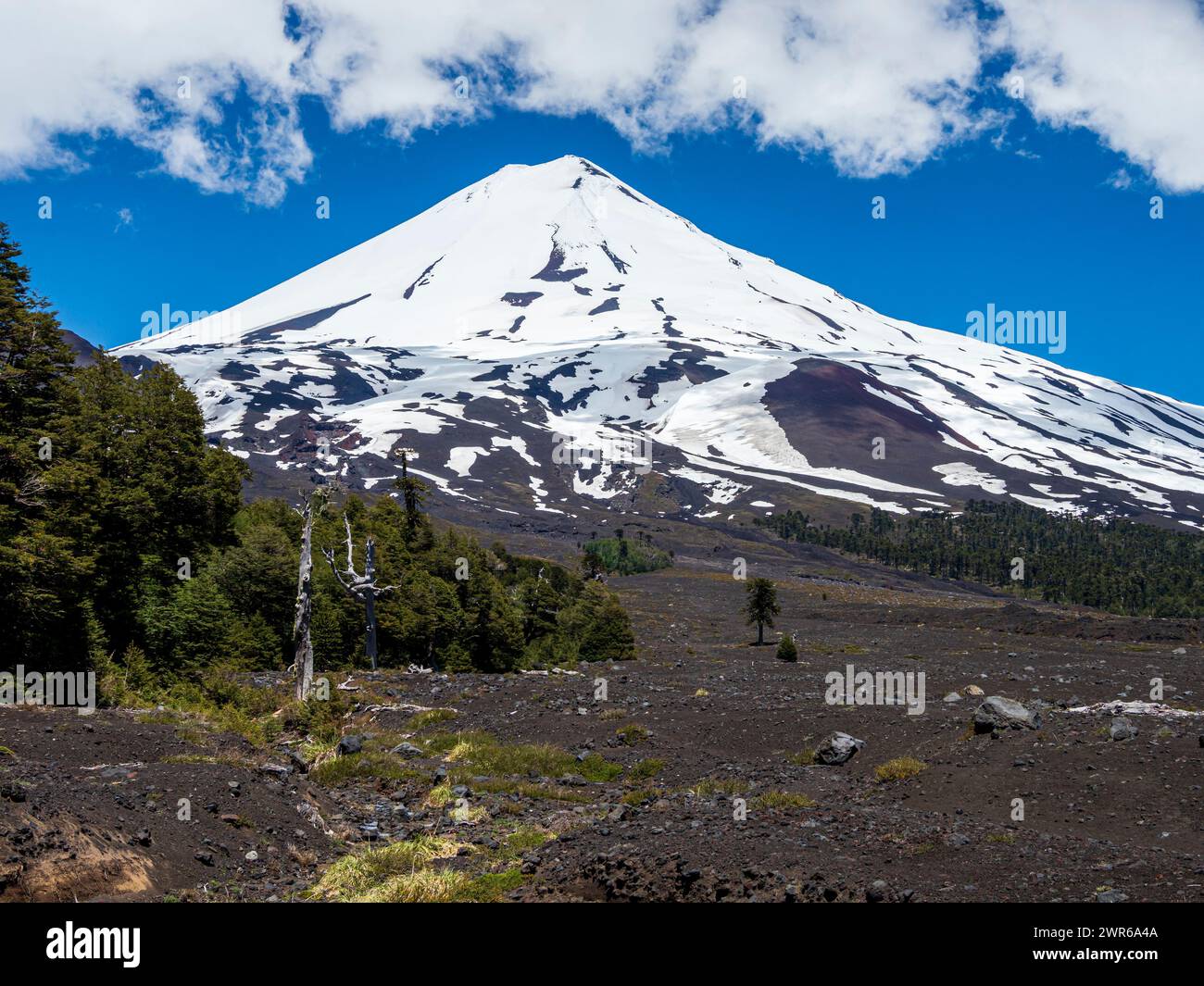 Parque nacional conguillo hi-res stock photography and images - Alamy
