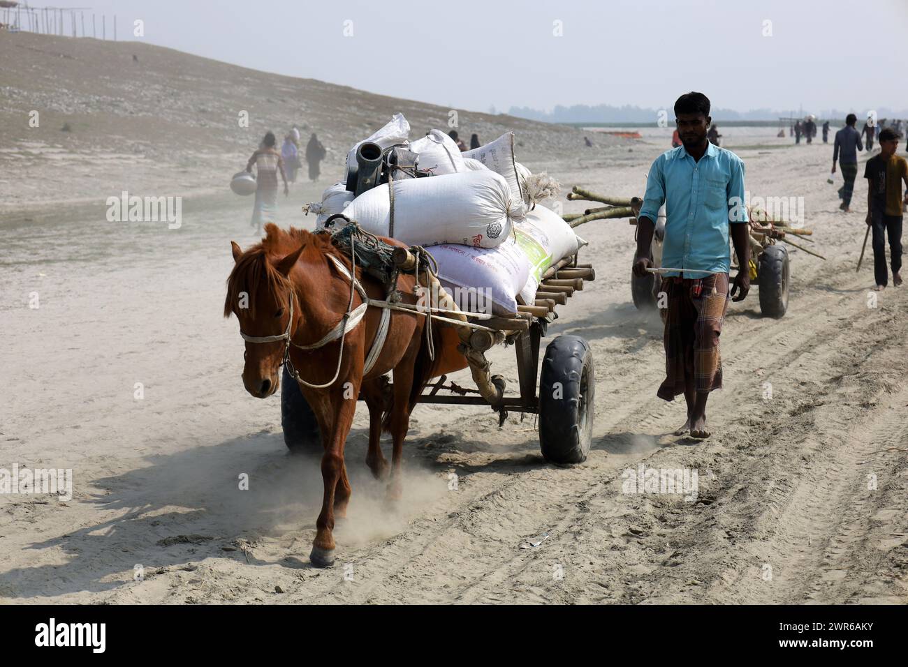 March 11, 2024, Phulchari, Gaibandha, Bangladesh: Horse carts are the only means of transport of ...