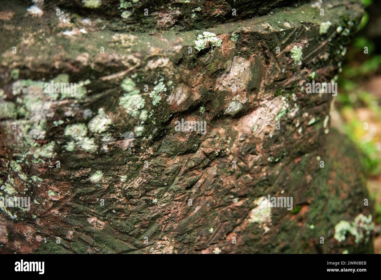 Tiki tohua hi-res stock photography and images - Alamy