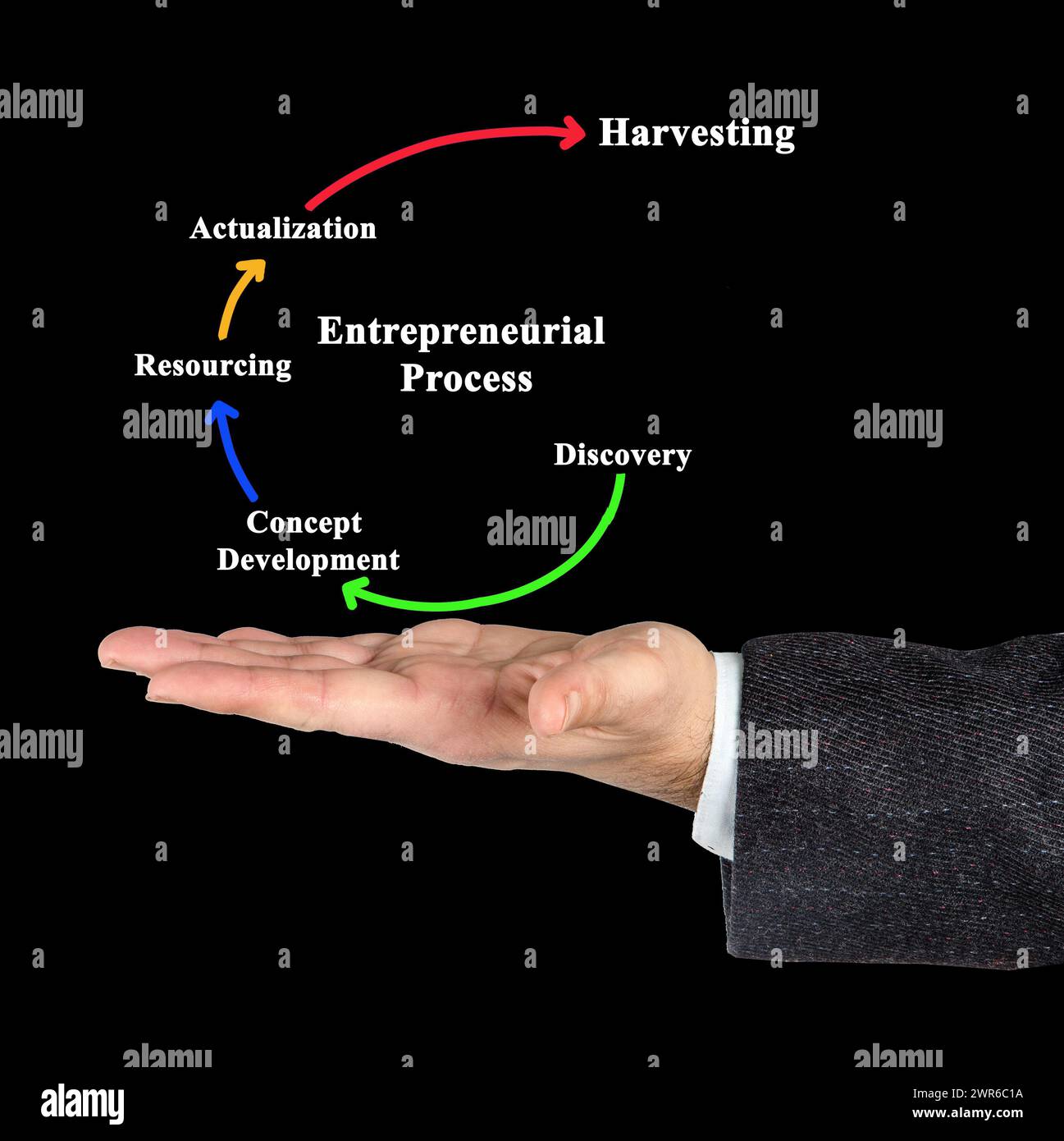 Five Components of Entrepreneurial Process Stock Photo - Alamy