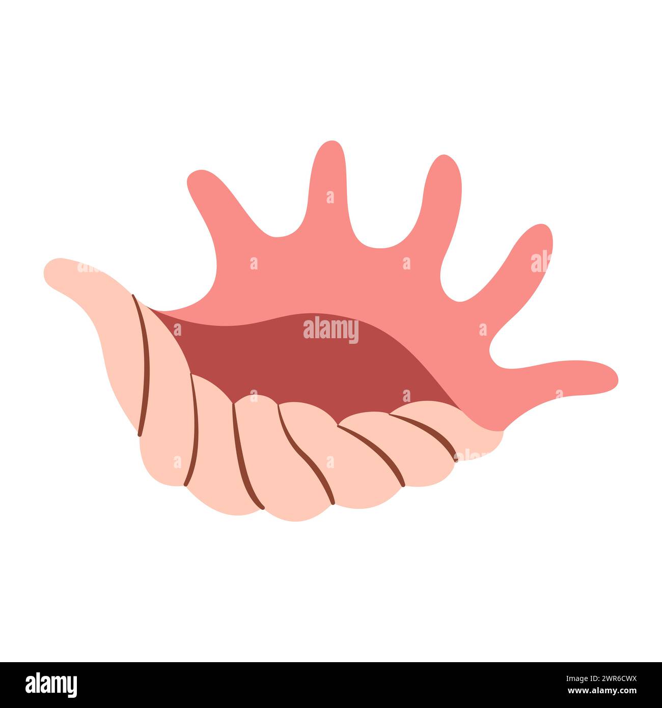 Hand drawn Seashell Arthritic Spider Conch, Murex. Cartoon style flat ...