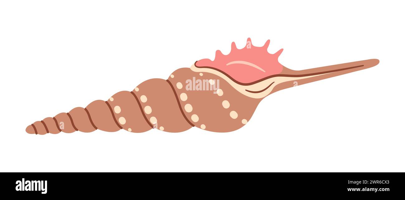 Hand drawn Shin-bone Tibia Seashell. Cartoon style flat illustration ...