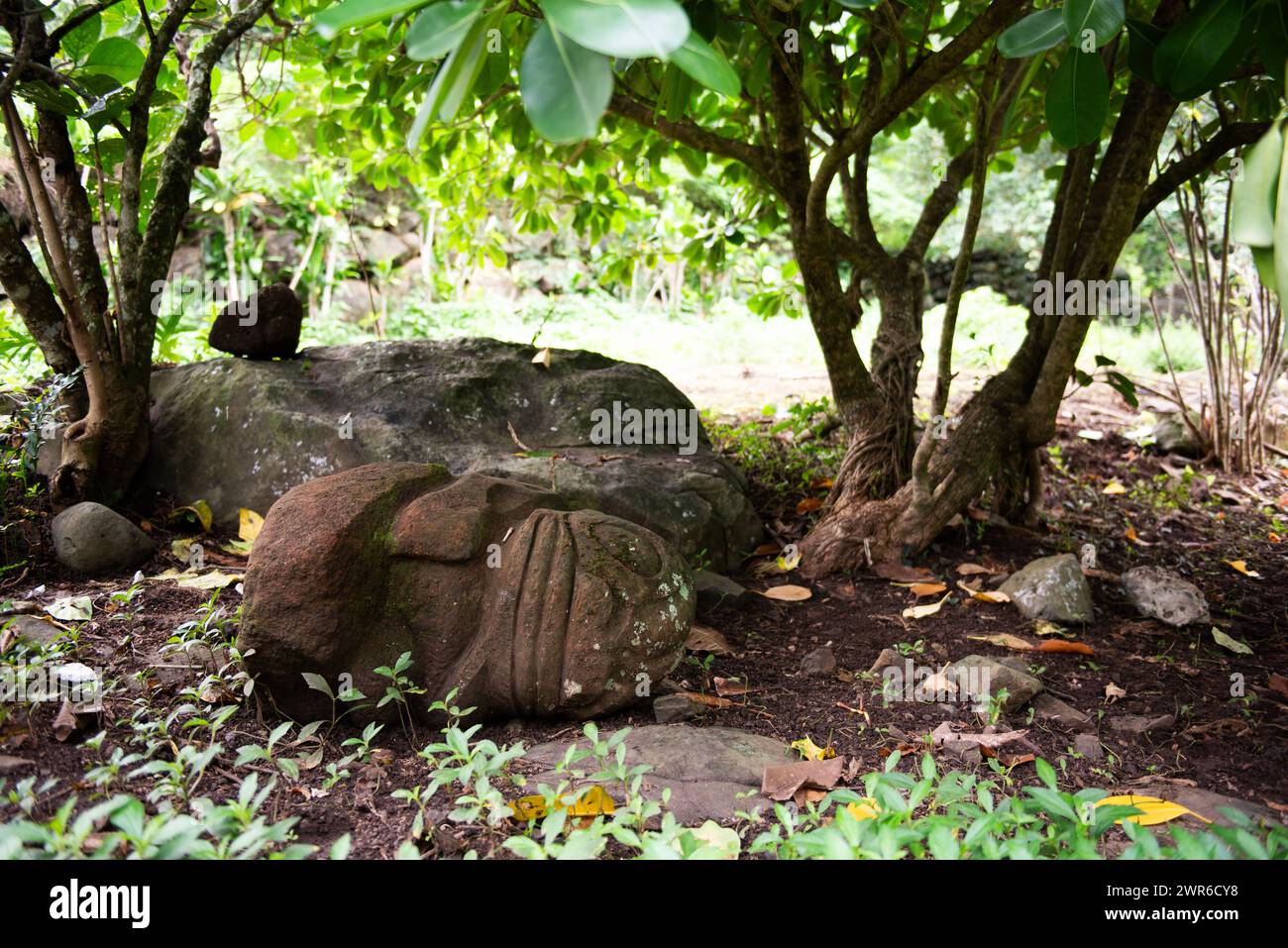 Tohua Koueva Archaeological Site Stock Photo - Alamy