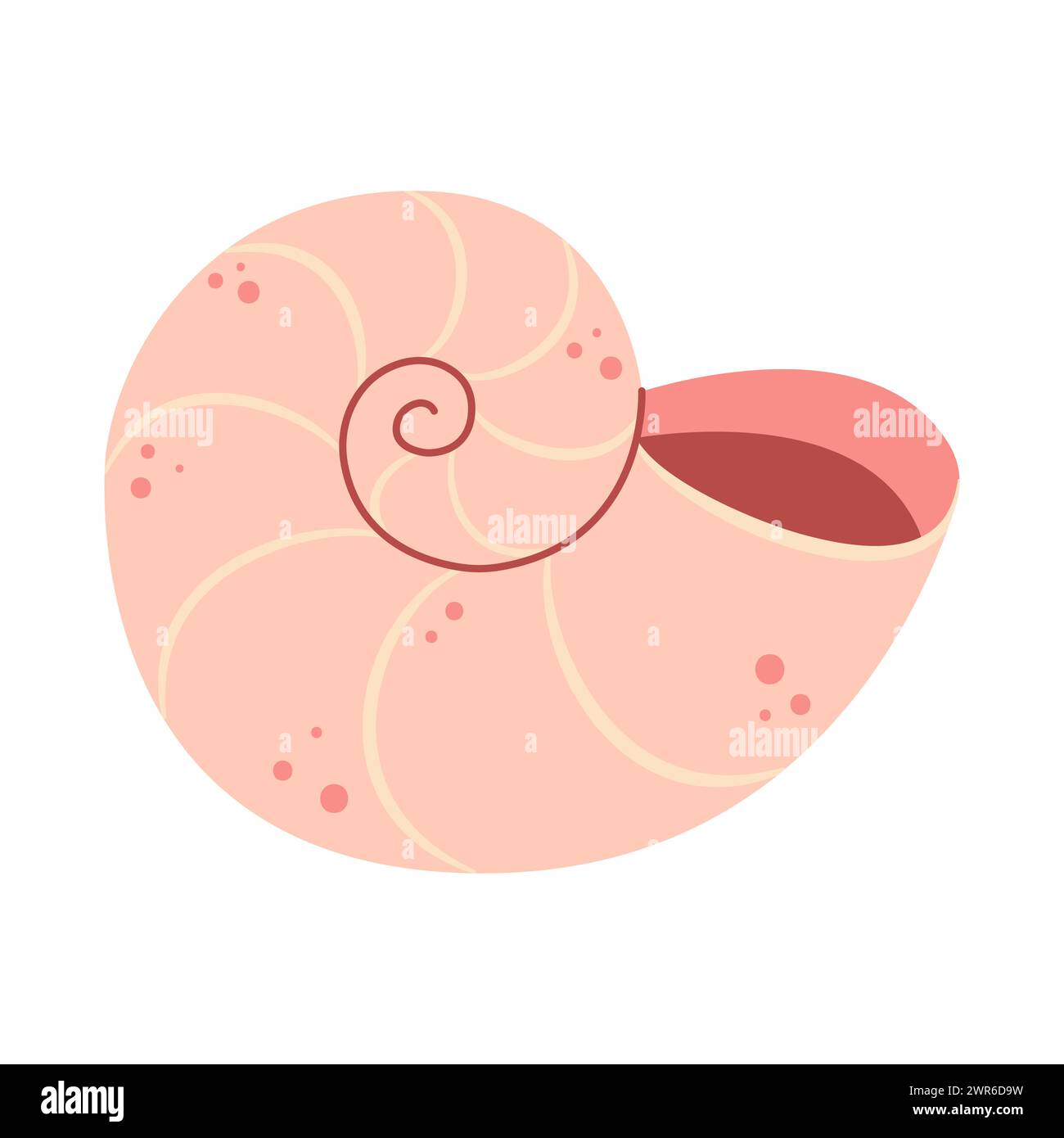 Hand drawn Seashell. Cartoon style flat illustration seashell isolated ...