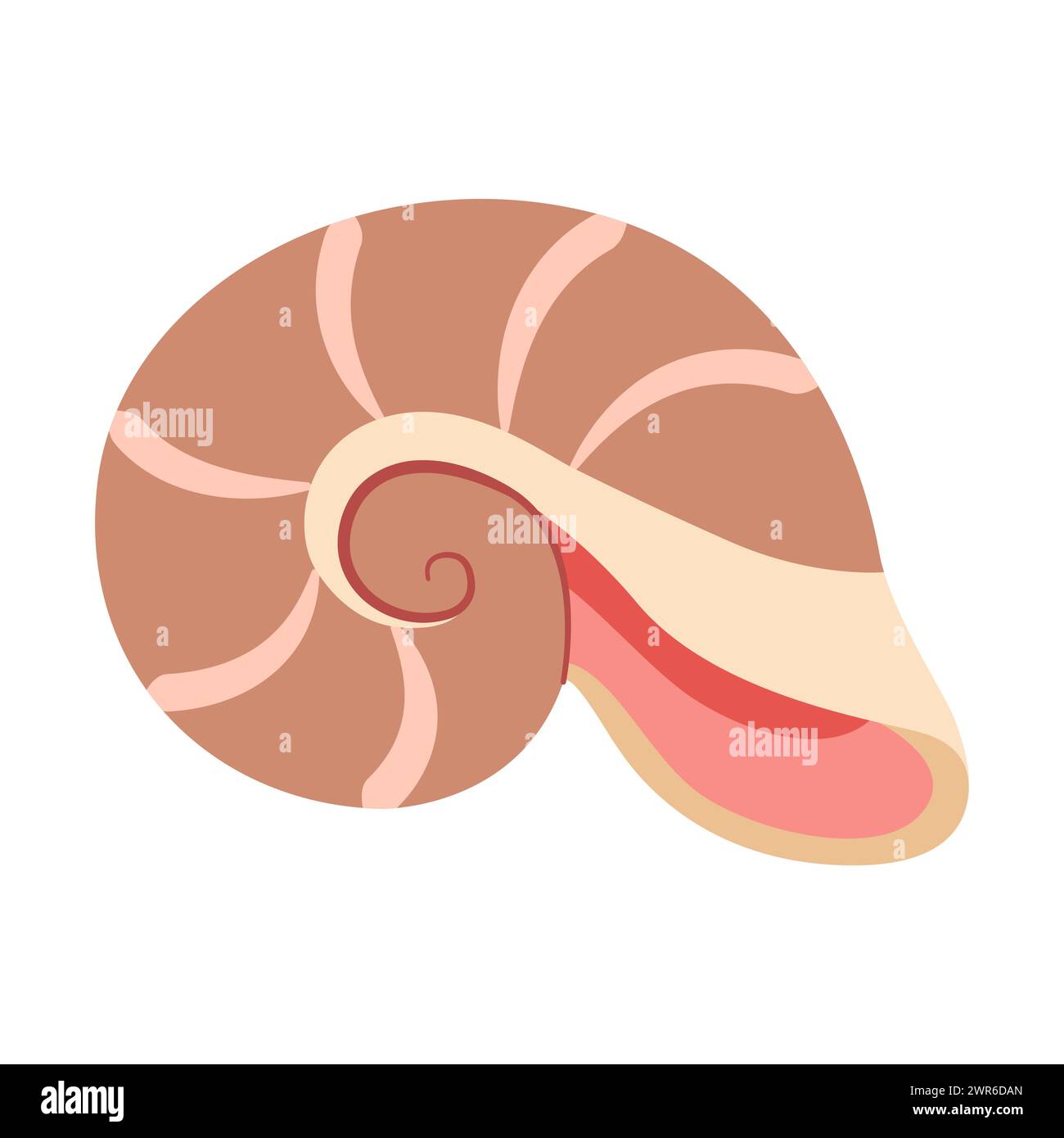 Hand drawn Seashell. Cartoon style flat illustration seashell isolated ...