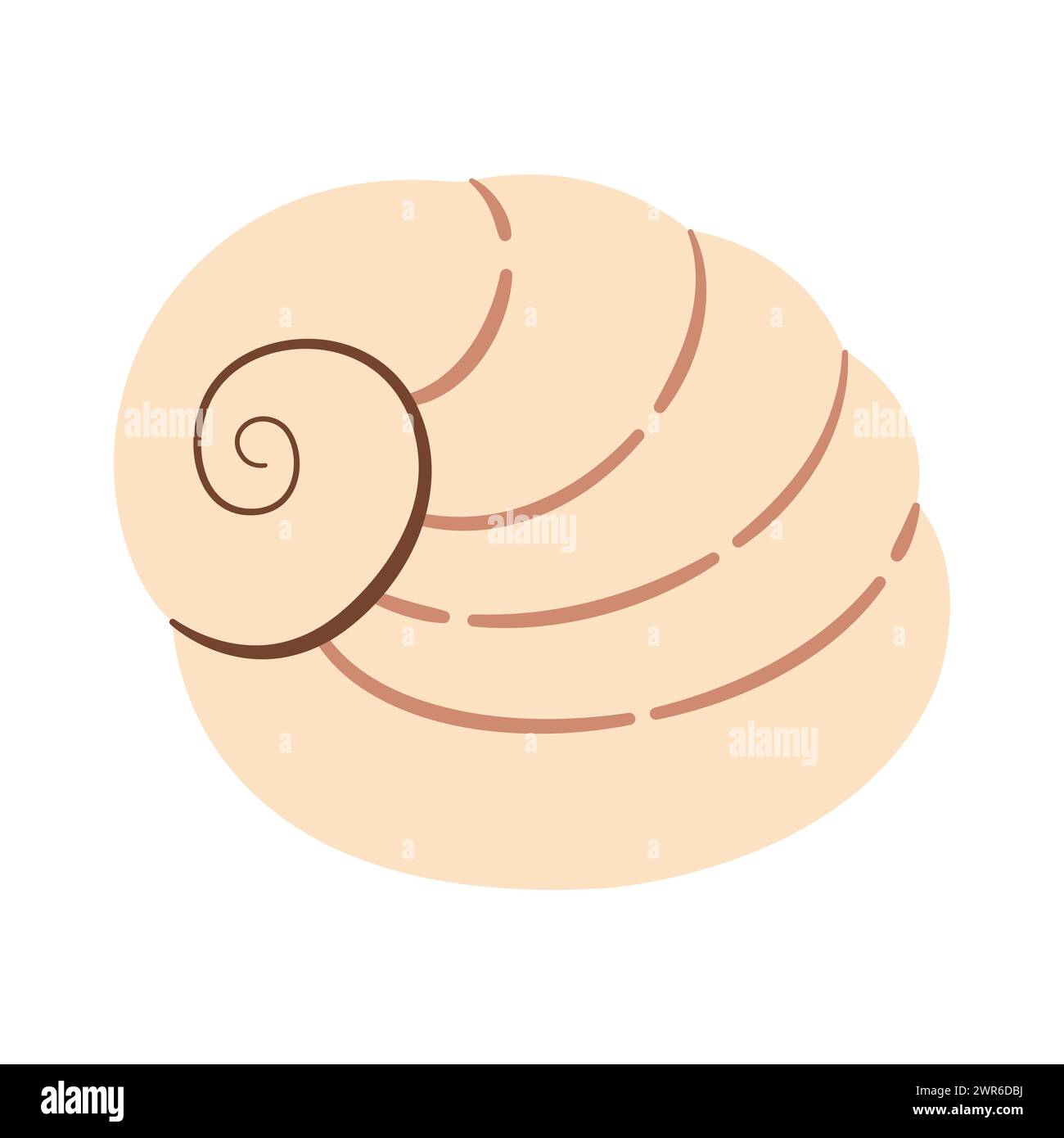 Hand drawn Seashell. Cartoon style flat illustration seashell isolated ...