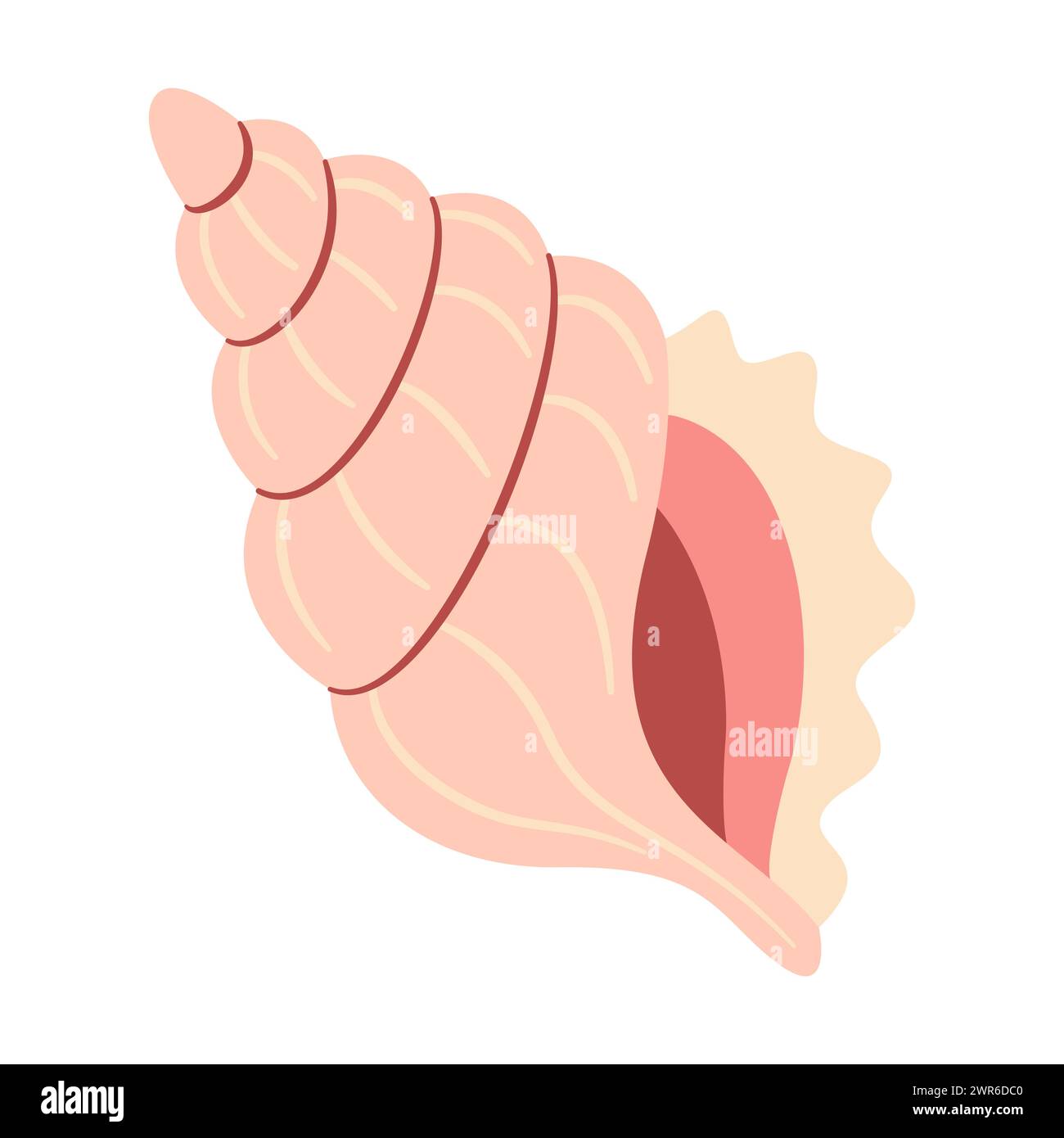 Hand drawn Seashell. Cartoon style flat illustration seashell isolated ...