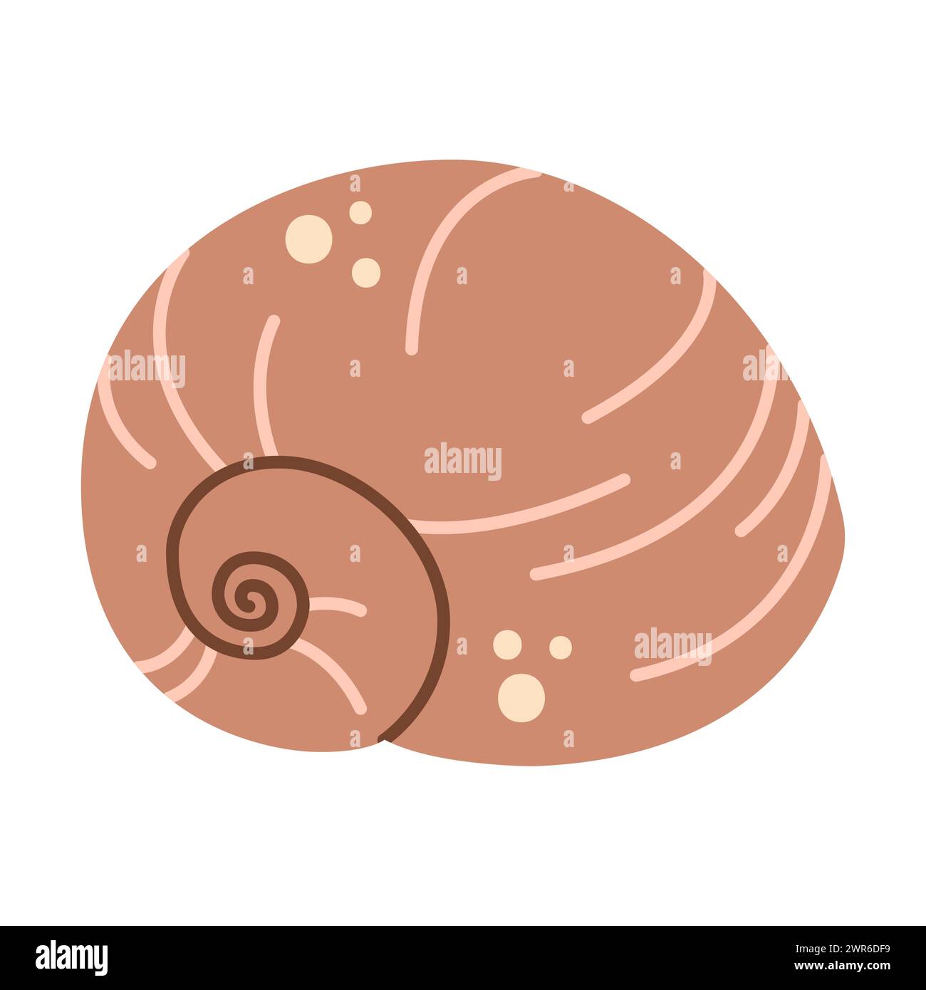 Hand drawn Seashell. Cartoon style flat illustration seashell isolated ...
