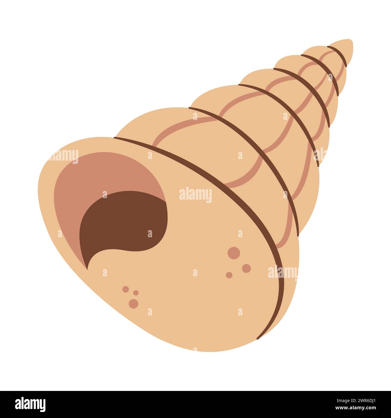 Hand drawn Scotts Top Shell. Cartoon style flat illustration seashell ...