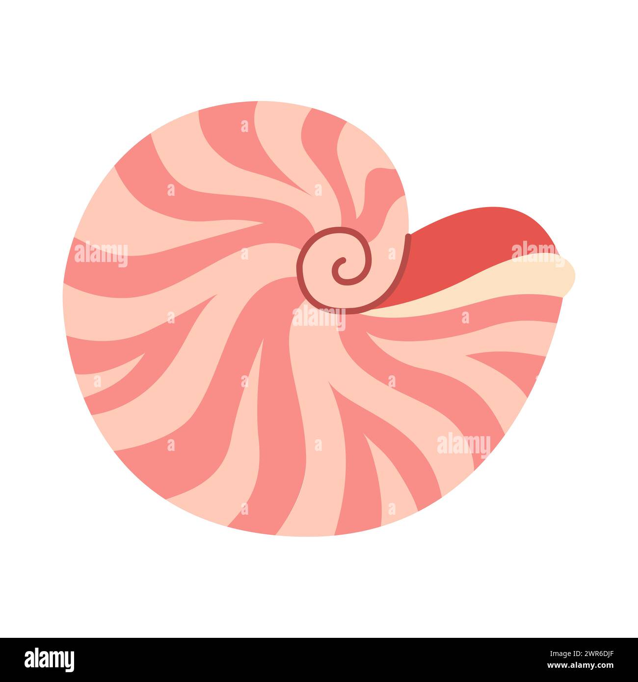 Nautilus pompilius Hand drawn Seashell. Cartoon style flat illustration ...