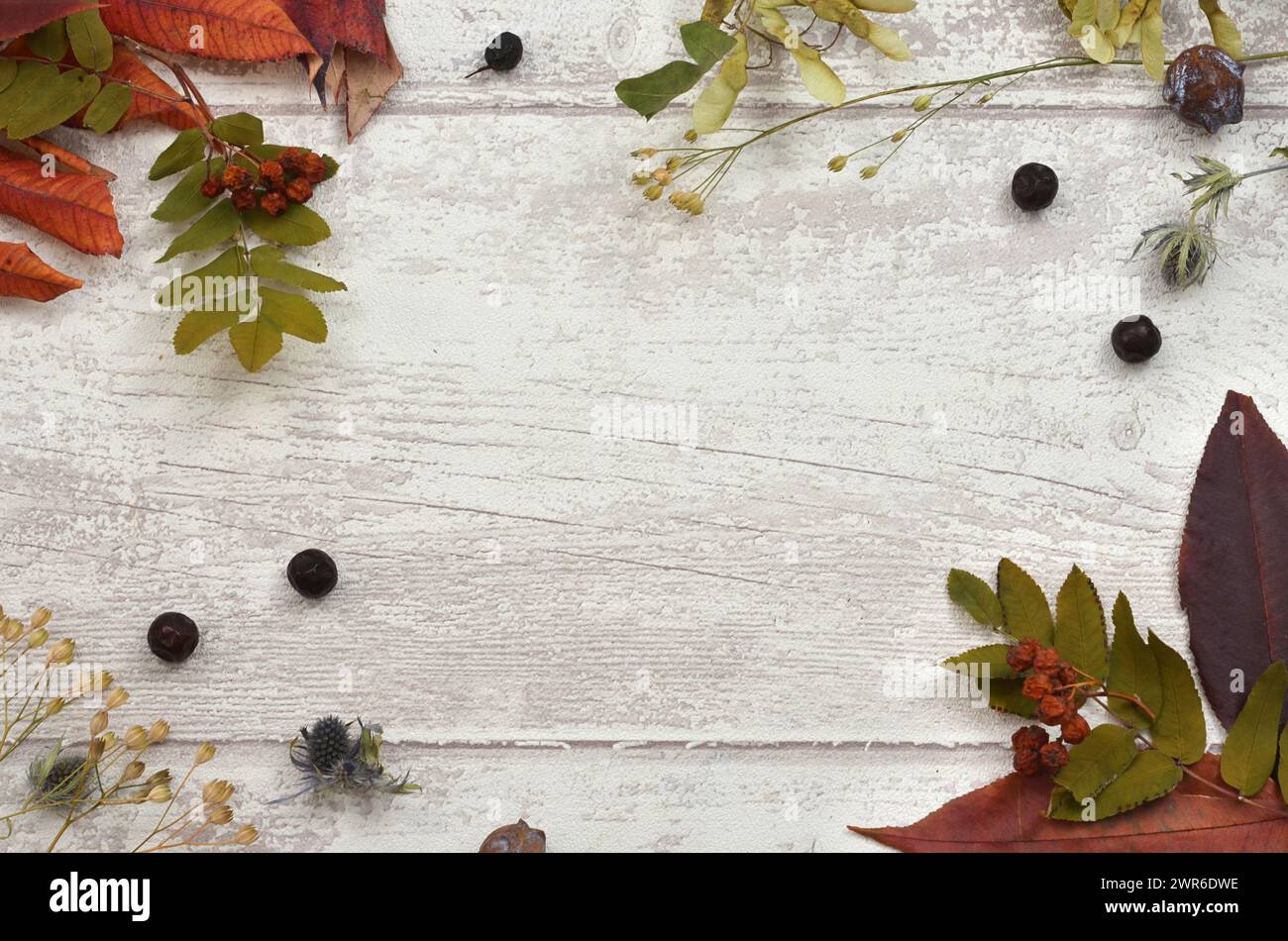 Frame with twigs and autumn leaves with empty space to fill in, wooden ...