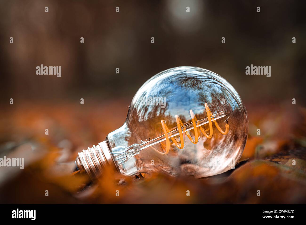 Lamp shining through fall leaves Stock Photo - Alamy