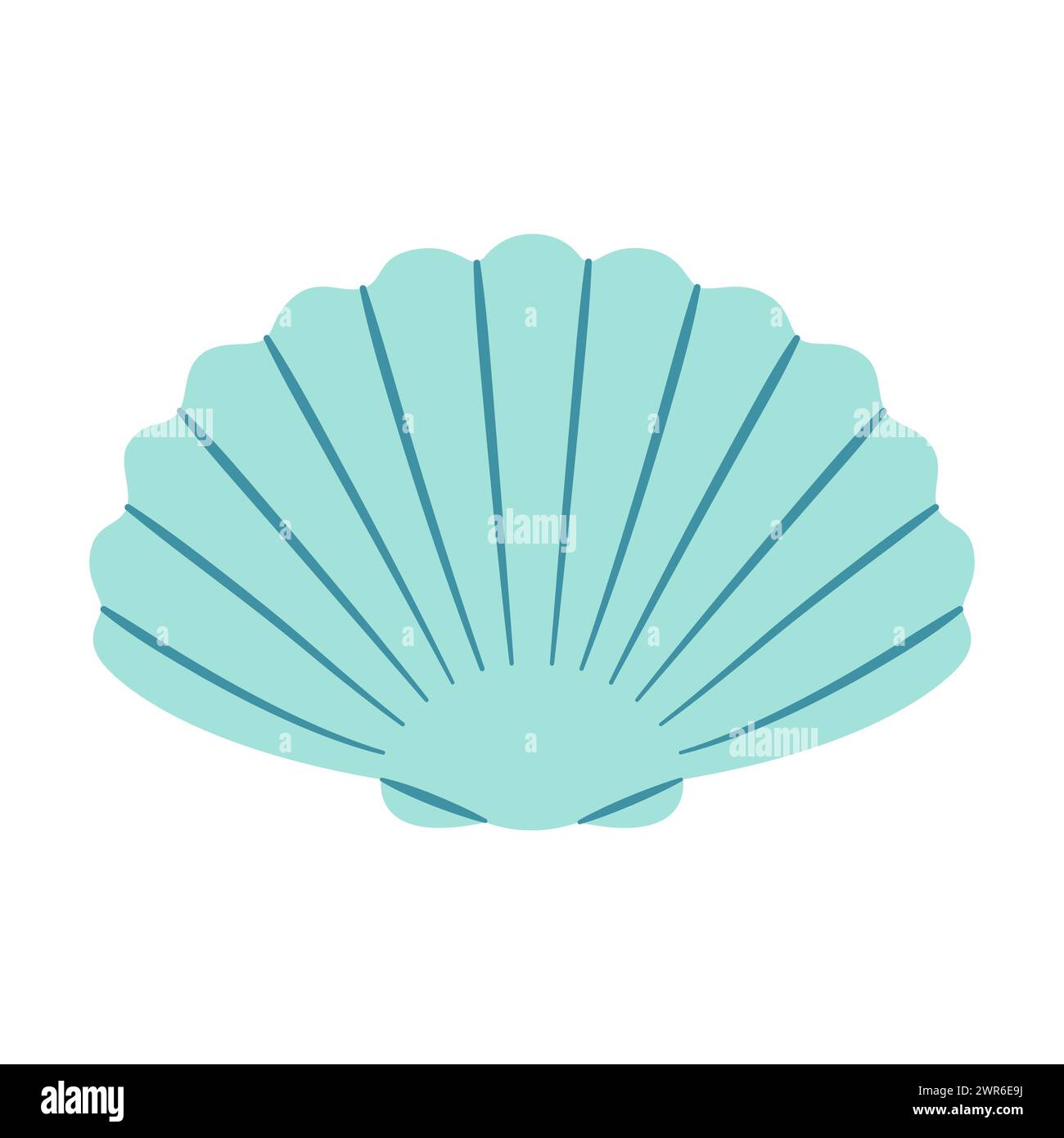 Hand drawn Scallop Seashell. Cartoon style flat illustration seashell ...