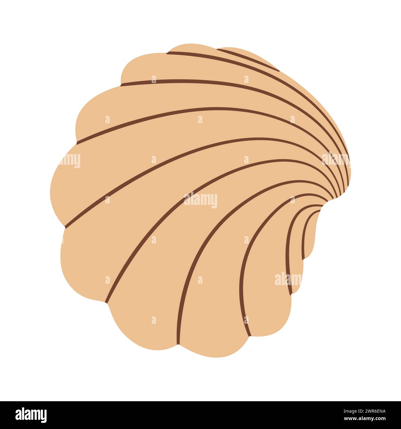 Hand drawn Venerida Seashell. Cartoon style flat illustration seashell ...