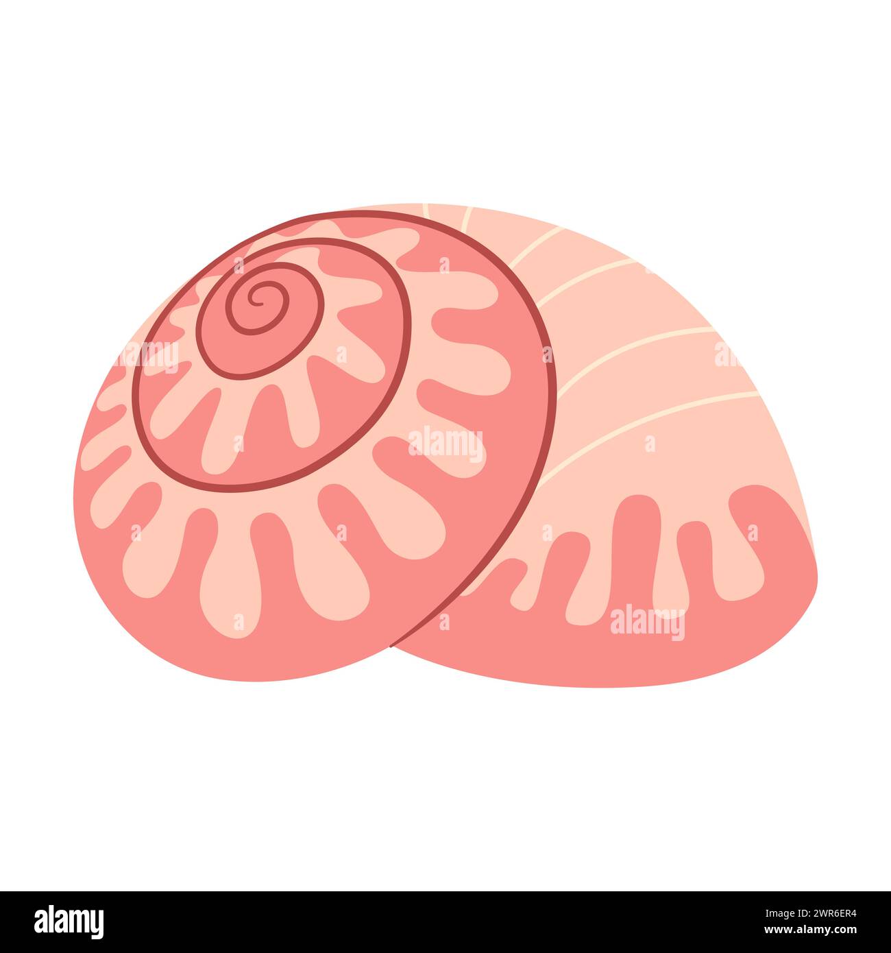 Hand drawn Seashell. Cartoon style flat illustration seashell isolated ...