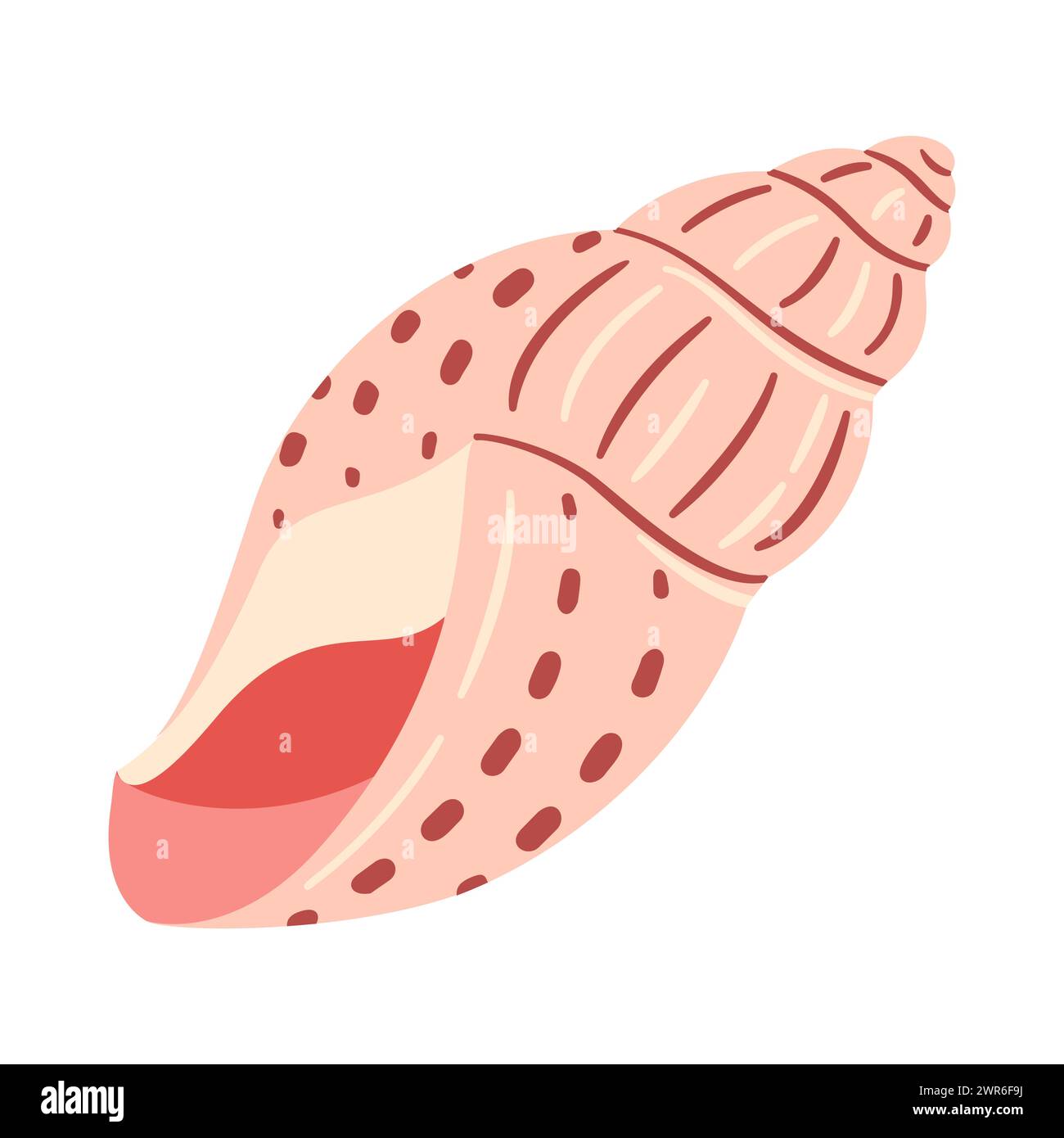 Hand drawn Babylon Seashell. Cartoon style flat illustration seashell ...