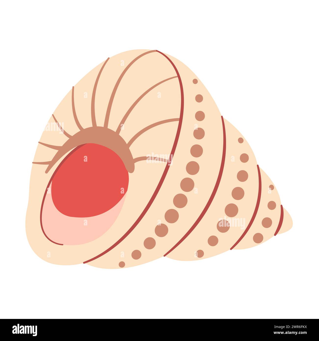Hand drawn Scotts Top Shell. Cartoon style flat illustration seashell ...