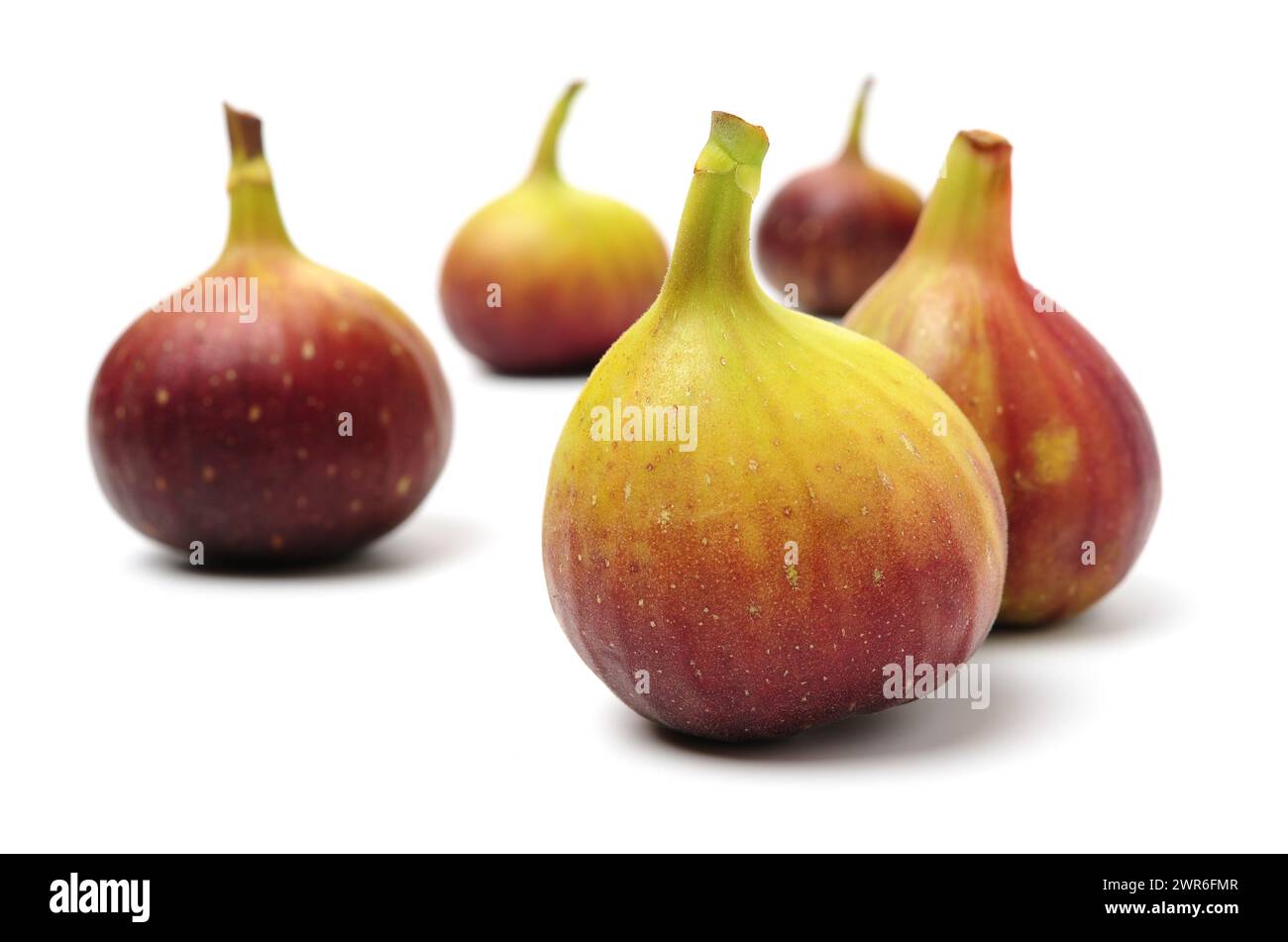 Pair of purple figs hi-res stock photography and images - Alamy
