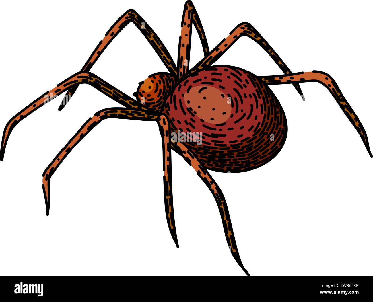 halloween spider sketch hand drawn vector Stock Vector Image & Art - Alamy