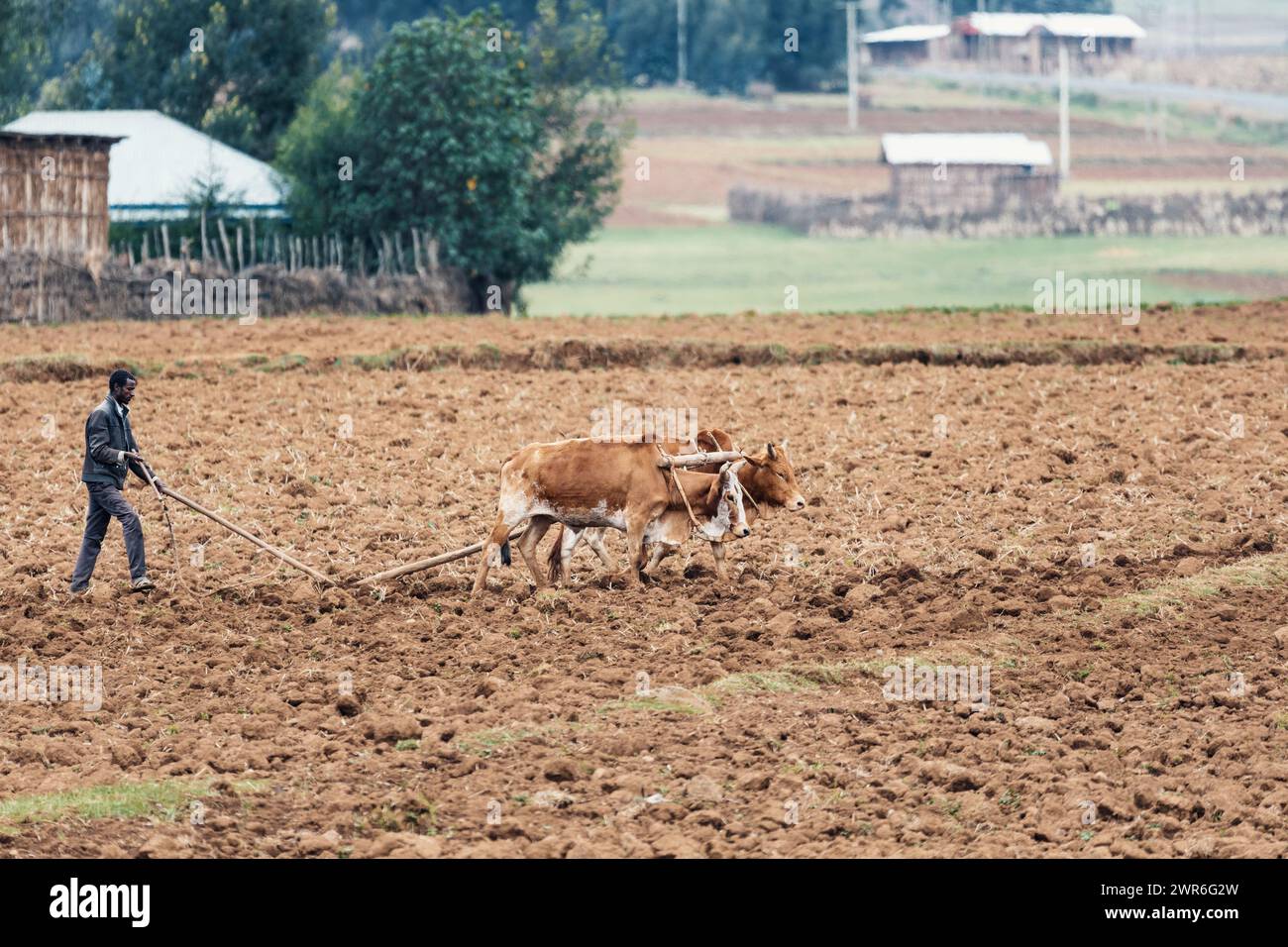 OROMIA REGION, ETHIOPIA, APRIL 19.2019, Unknown Ethiopian farmer ...