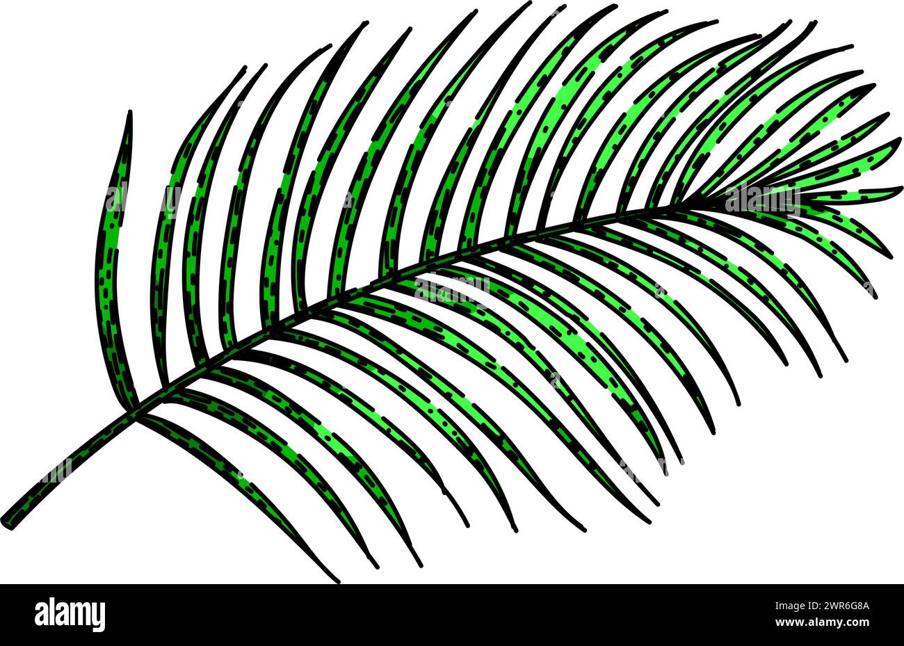 coconut tropical leaf sketch hand drawn vector Stock Vector Image & Art ...
